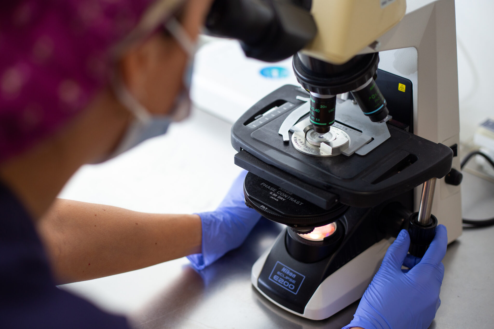 Artificial insemination - Irema