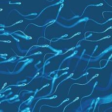 Seminograma - Irema, Clínica de fertilidad